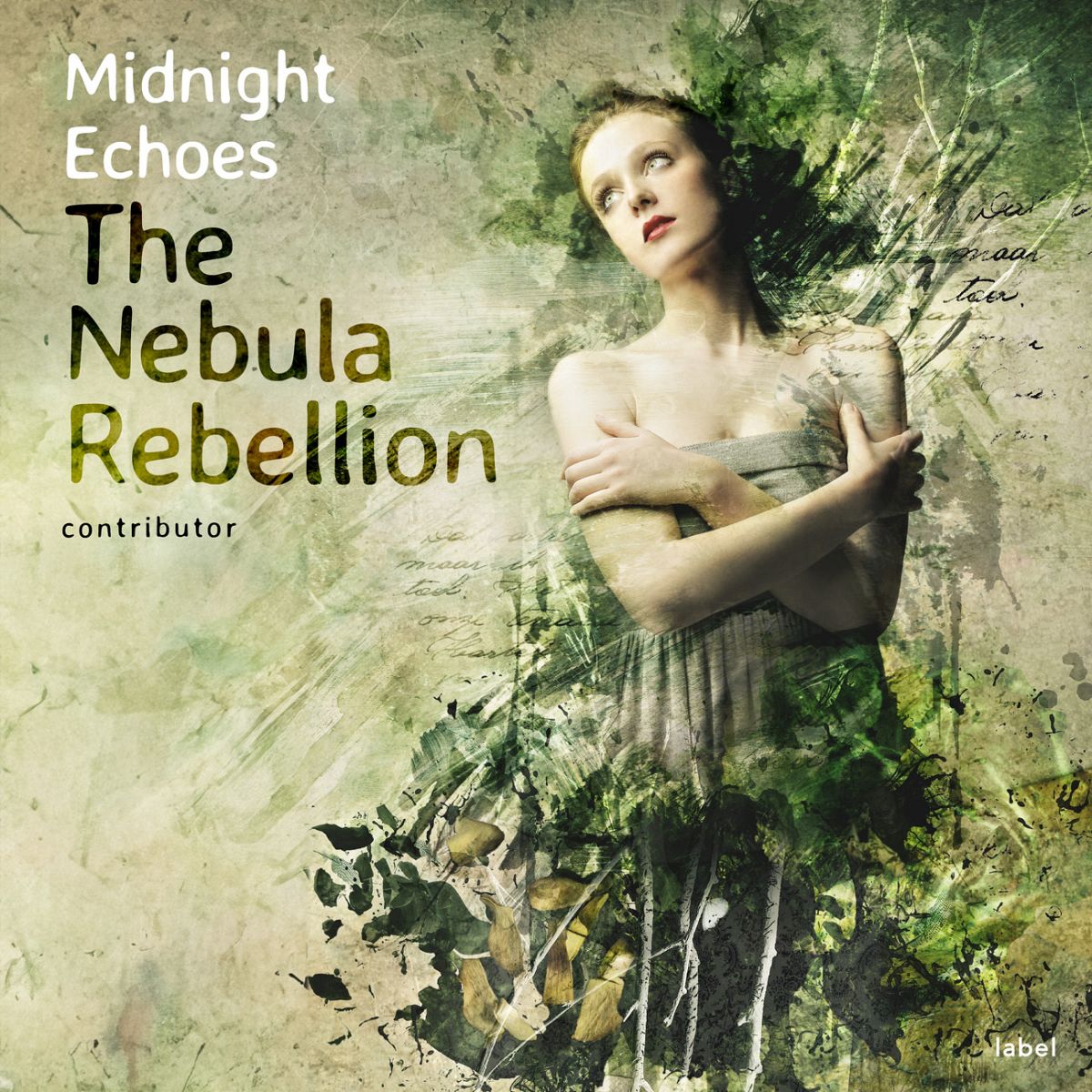 Premade Classical Music > Contemporary Music Album Cover Art - Pre-made ...